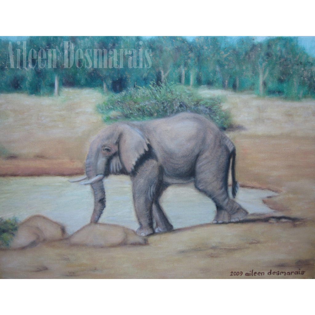 Elephant by Water Watermark – Radical Homemaker